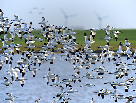 Drupal 7 to 8 Migration - A brief guide - Specbee