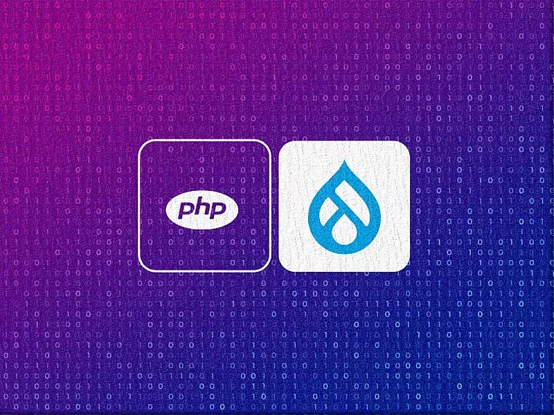 Using And Customizing The Paragraphs Module In Drupal Specbee